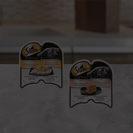 ALL PRODUCTS | SHEBA®